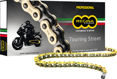 Regina 137RT/1000 525 RT Series Chain | eBay