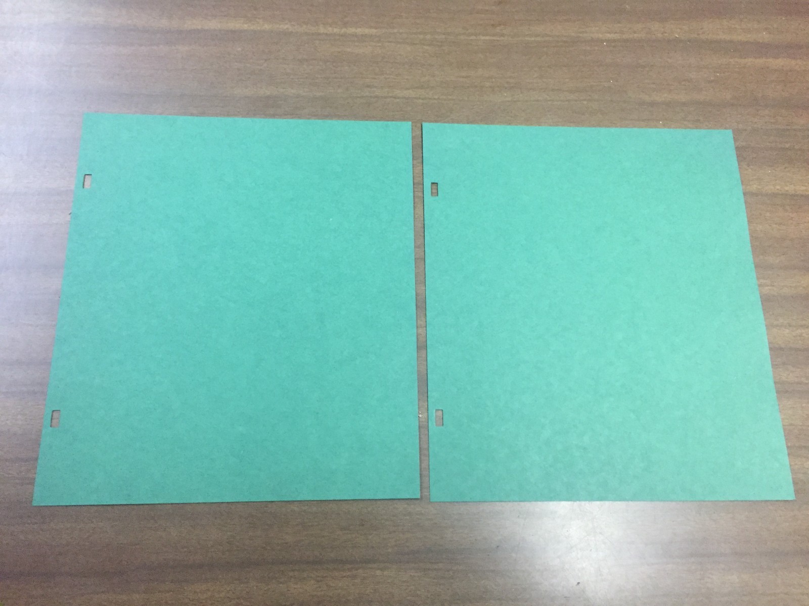 2 Green Protector Sheets For SCOTT 2-Post Specialty/National Binders | eBay