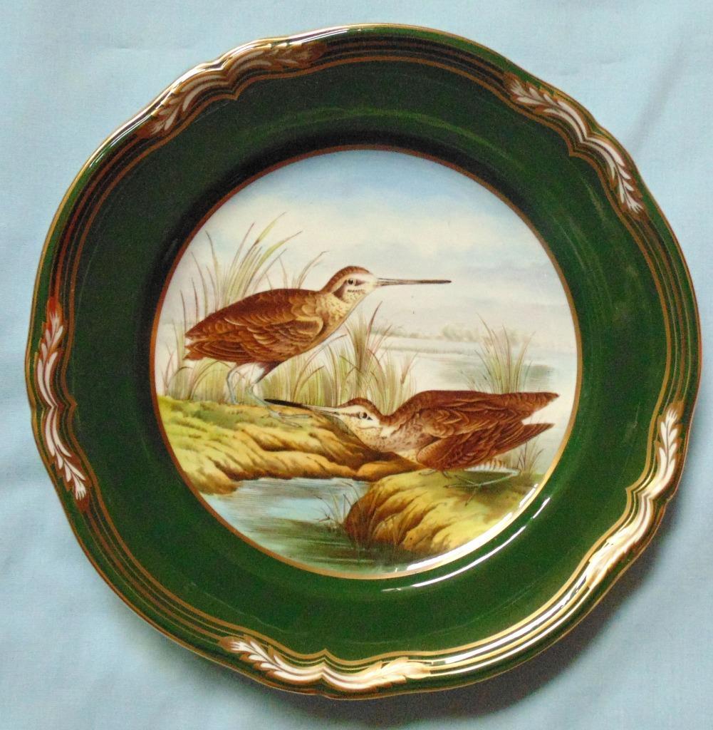 SPODE 9" HAND PAINTED PLATE SNIPE FROM GAME BIRDS SERIES | eBay