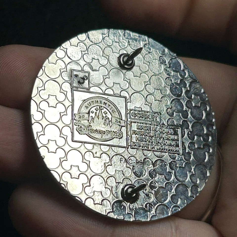 2024 - Quacketeer Club - Donald Duck - Disney Pin | eBay