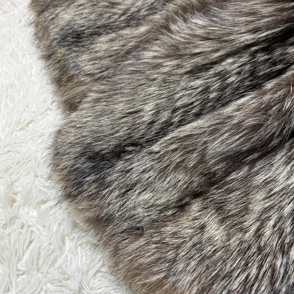Silver Fox Fur Coat Silver Grand Sleeves Women Authentic From Japan | eBay