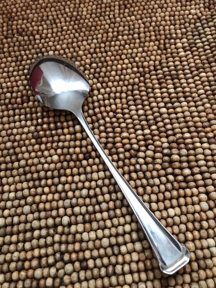 SSS Oneida MAESTRO Glossy Stainless Outlined Flat Tip PLACE SOUP SPOON ...