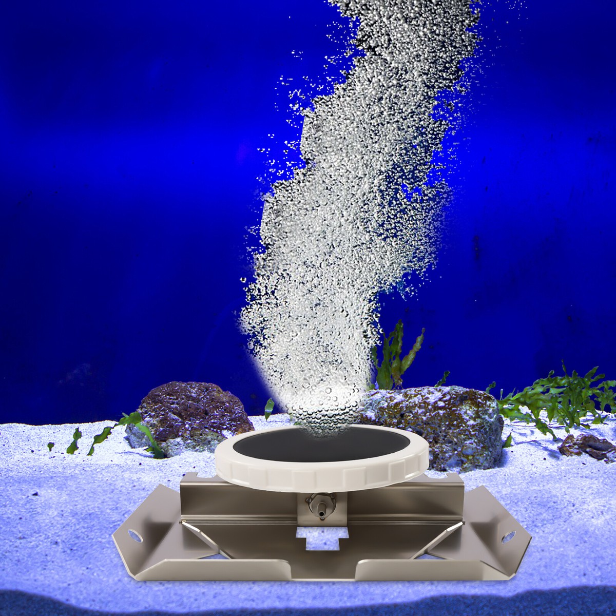 Pond Hydroponics System