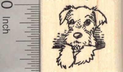 Miniature Schnauzer Puppy Dog with Natural Ears Rubber Stamp A20010 WM ...