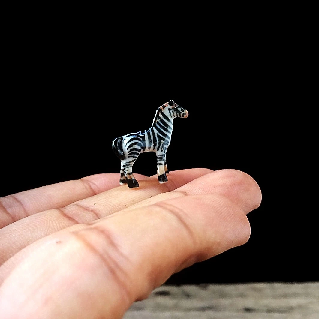 Miniature Zebra