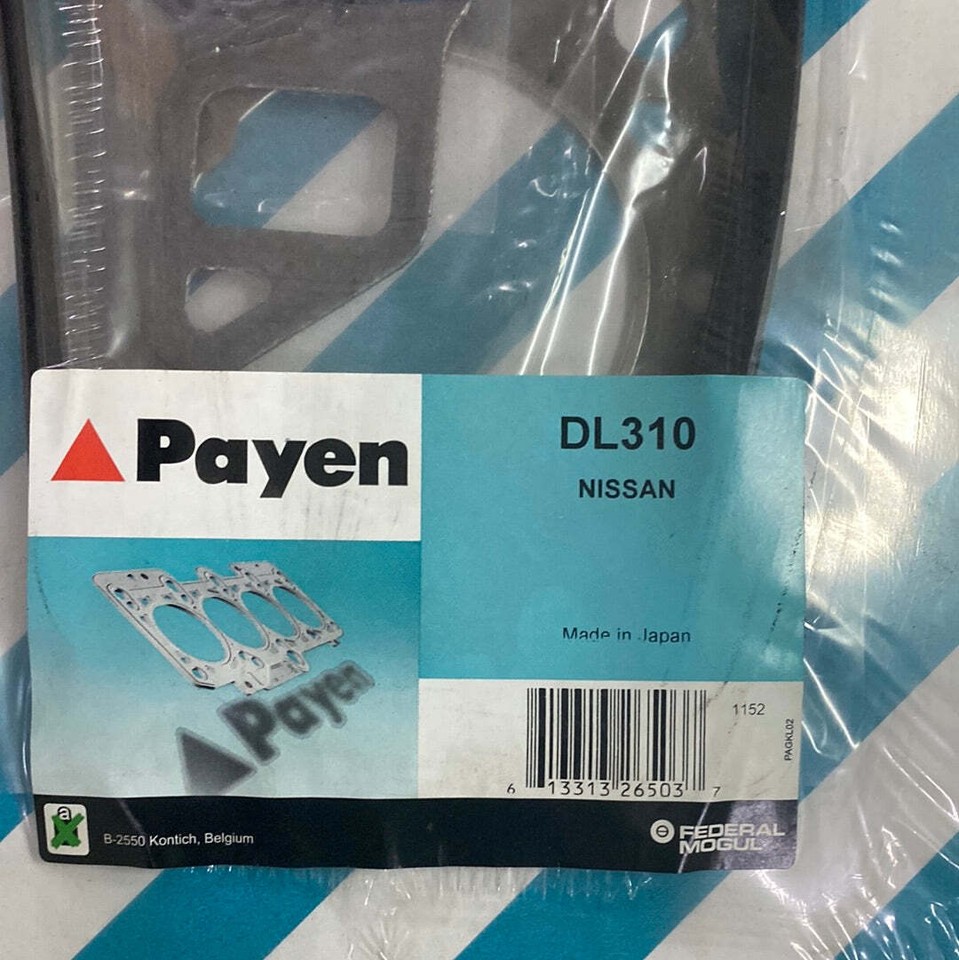 Cylinder Head Gasket Set NISSAN DL310 | eBay