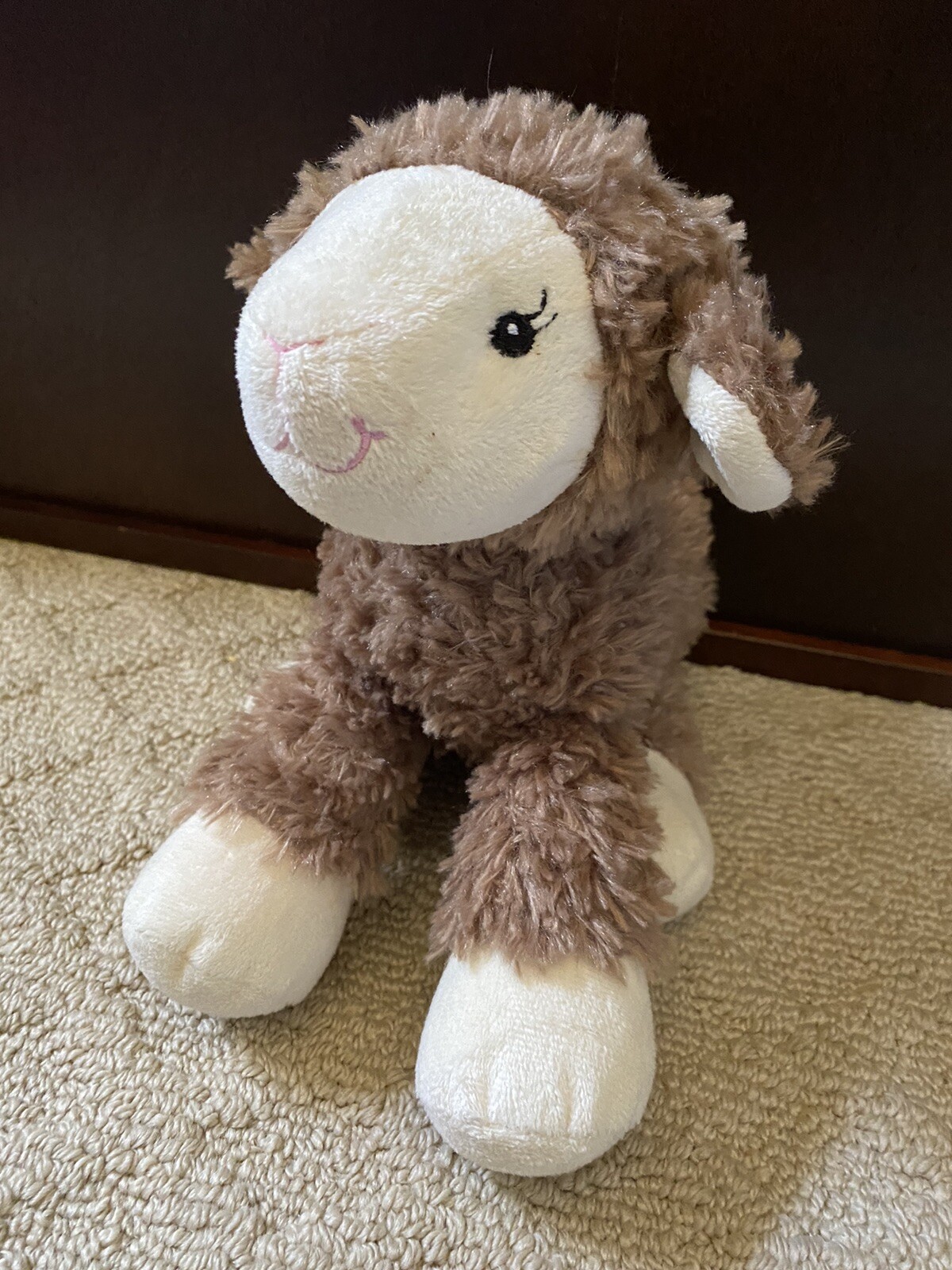 Baby Brown Sheep