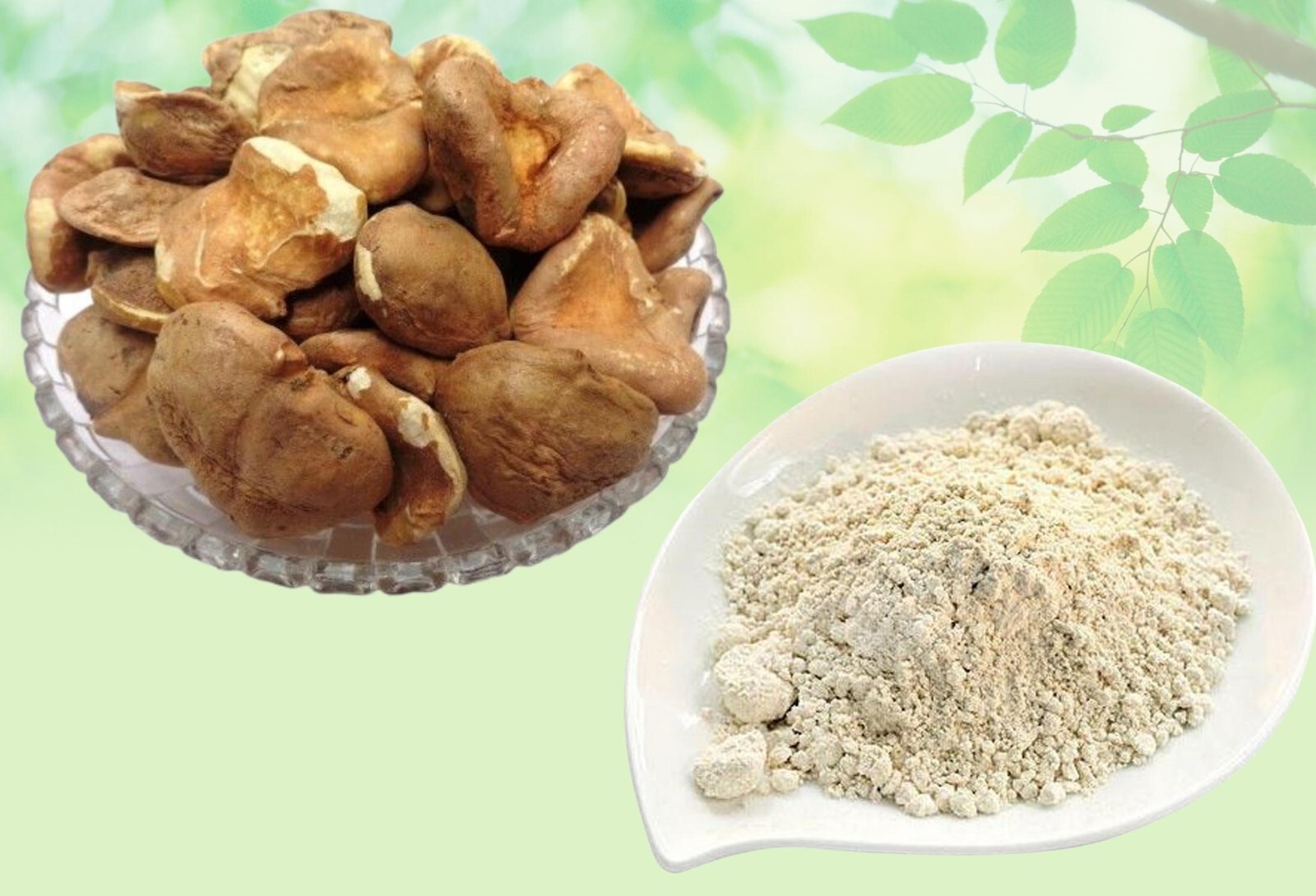Singhara Dry Powder-Water Chestnut Powder-Raw Herbs-Singhada Sookha ...