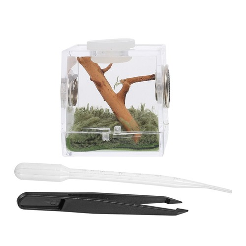 2 Sets Jumping Spider Breeding Box Plastic Snake Container Boxes Case ...