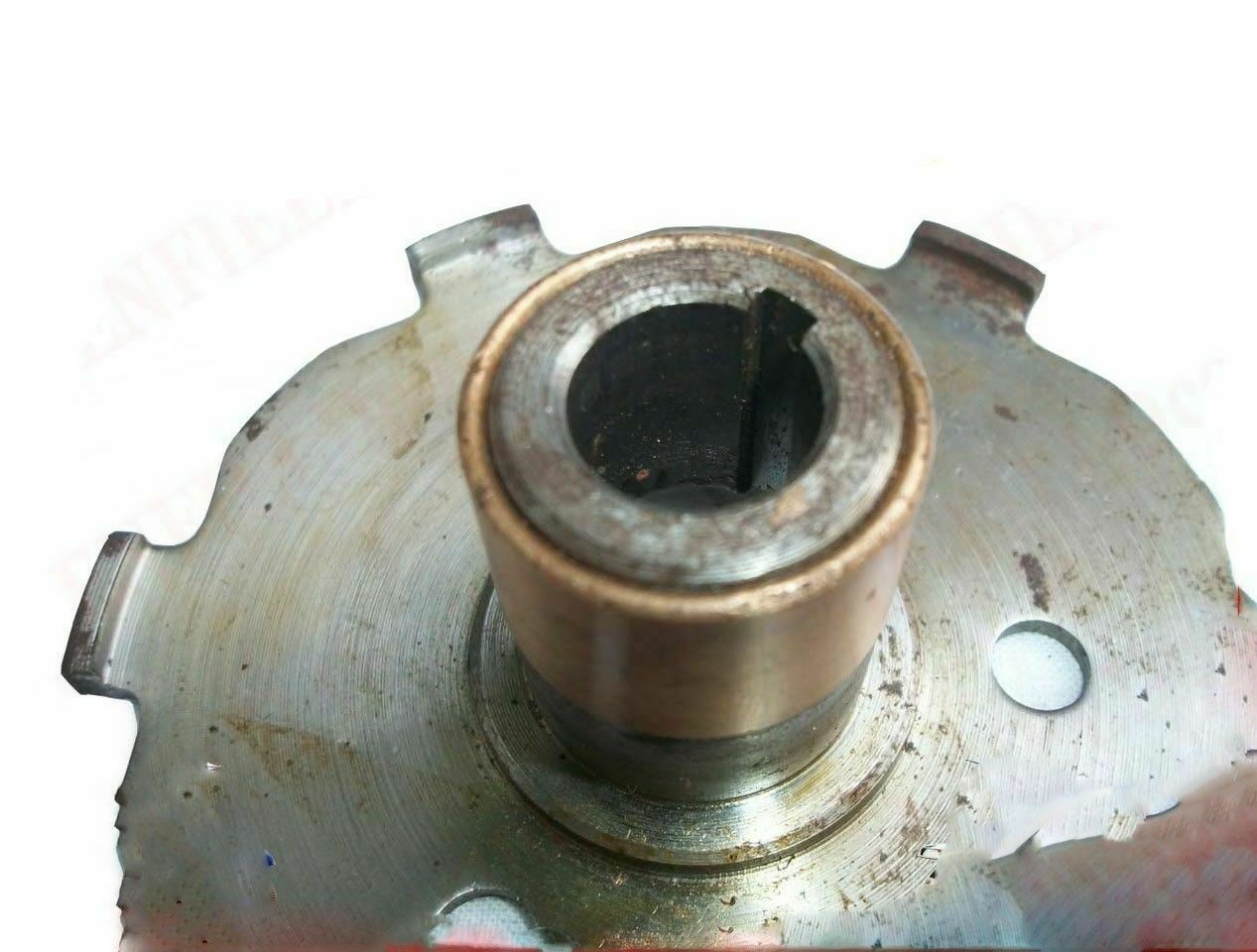 Vespa Clutch Back Plate With Brass Bush Buje Del Embrague ECs | eBay ...
