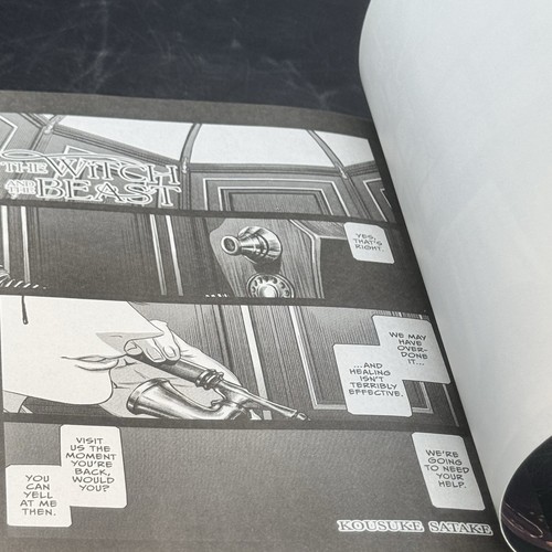 Kousuke Satake The Witch and the Beast 9 Paperback Witch and the Beast ...