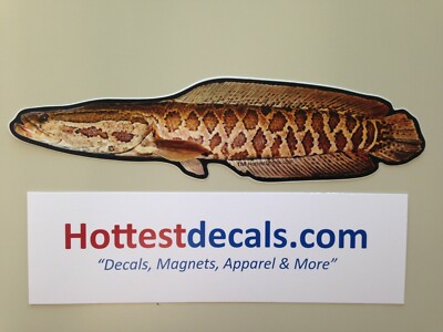 SNAKEHEAD FISH DECAL STICKER Quality Waterproof Vinyl for Car Truck ...