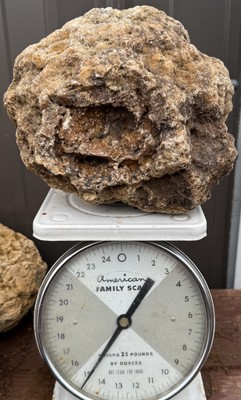 Fossilized Indiana Geode Quartz Crystal Whole Agate crinoid calyx 15 Lb ...