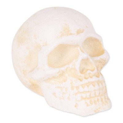 HUMAN SKULL CAST IRON PAPERWEIGHT | eBay