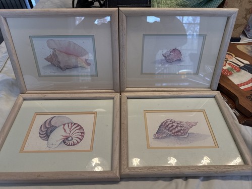 Set Of 4 D Morgan Framed Seashell Art Prints 11” X 9” Shells Wood Frame ...