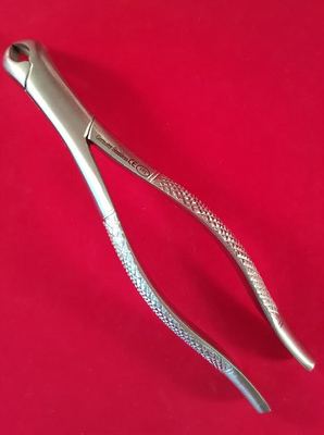 Forceps - Germany Stainless