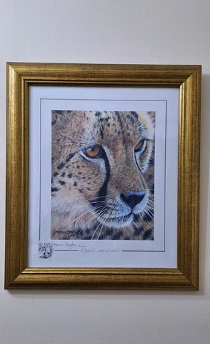 Stephen Gayford 2007 Cheetah "Quiet Contemplation" 83 of 950 Framed ...