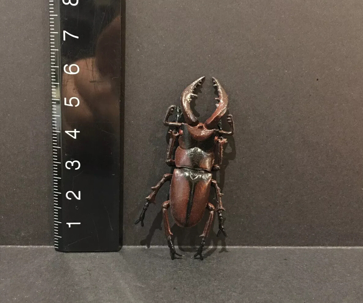 Kaiyodo Kabaya Sawtooth Stag Beetle Insect Bug Figure | eBay