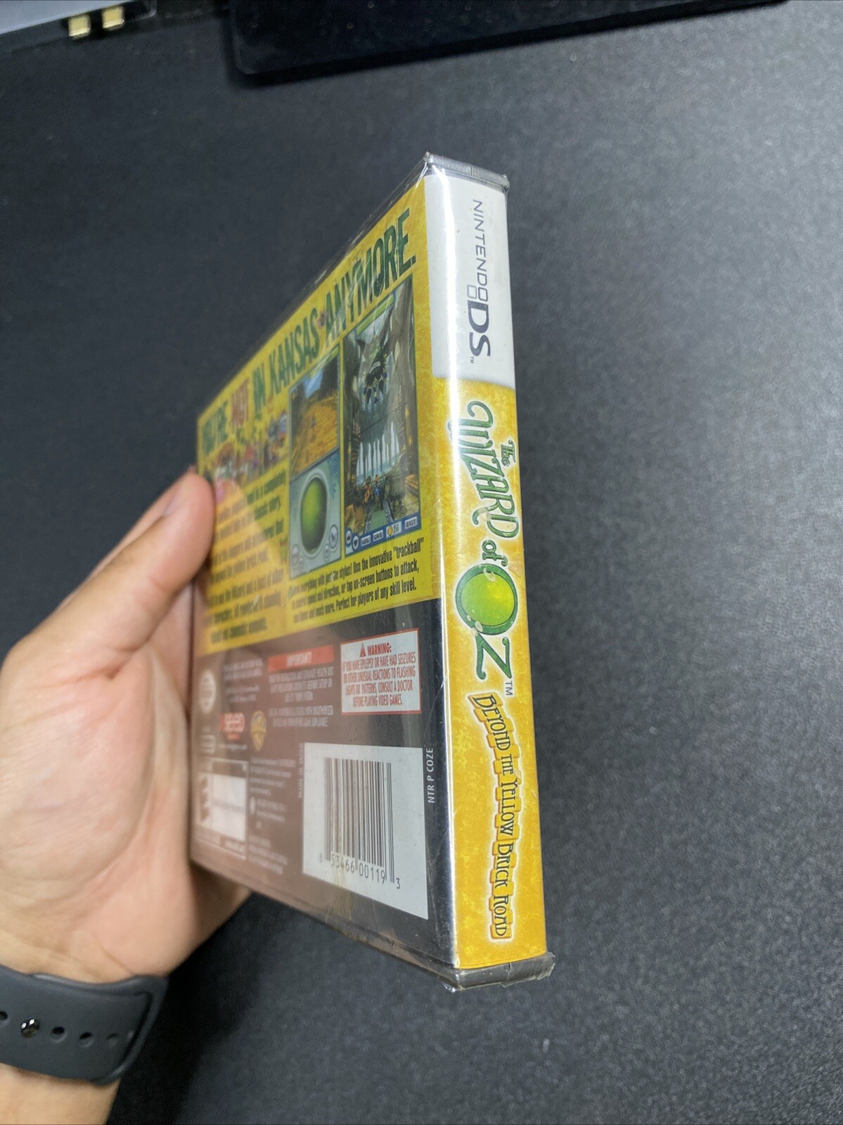 Wizard of Oz: Beyond the Yellow Brick Road (Nintendo DS, 2009) for sale ...