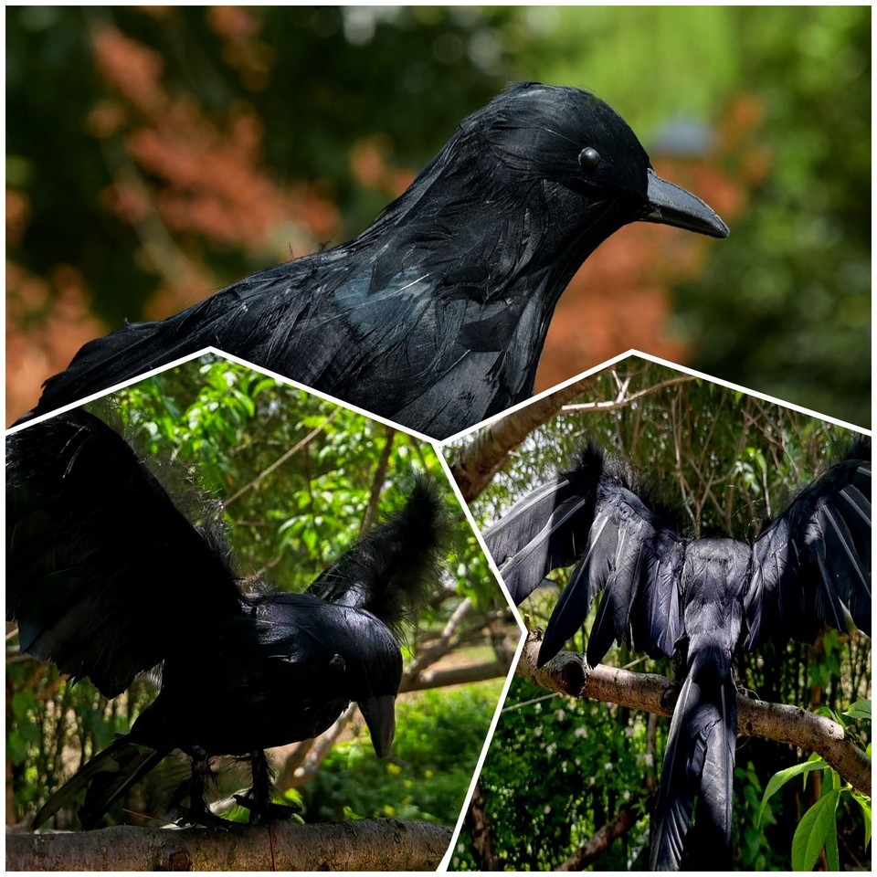 2X Realistic Black Feathered Prop Raven, Halloween Spooky Party Crow ...