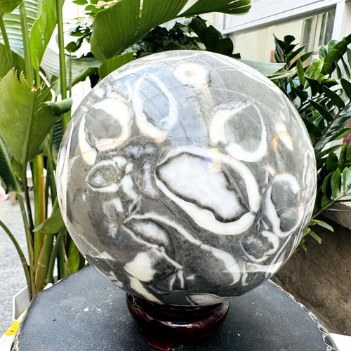 13.4LB Natural Shell Thousand Eye Stone Jasper Quartz Crystal Ball ...