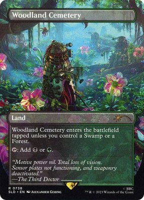 Woodland Cemetery (Secret Lair) Secret Lair Drop PLD Land Rare MTG CARD ...