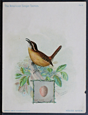 The American Singer Series Lg Trade Cards #6 House Wren 1899 EPH66 | eBay