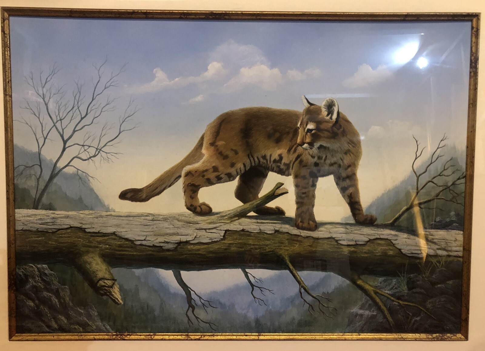 Peter JEPSON, original watercolour/pastel painting - Big Wild Cat | eBay UK