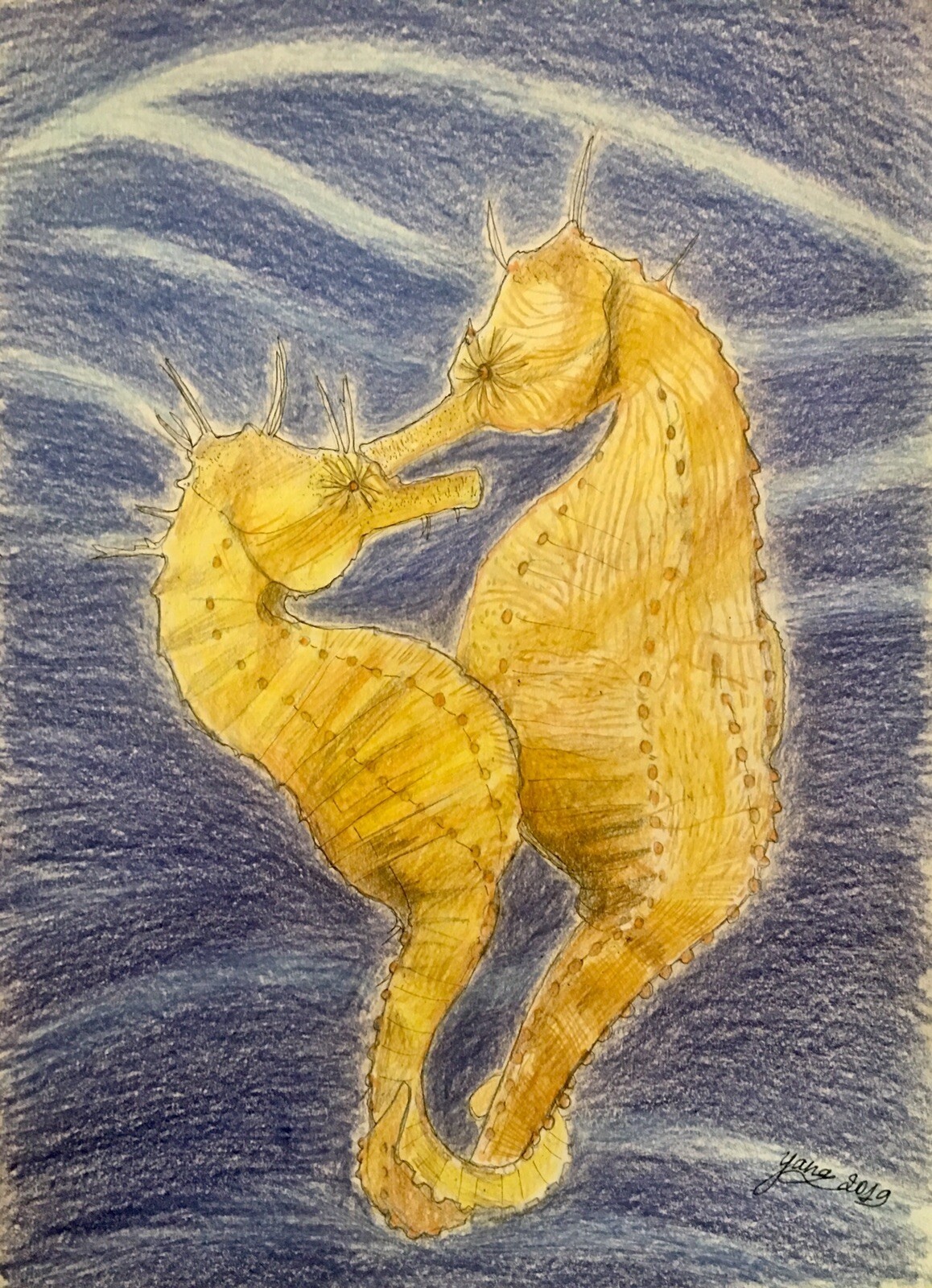 Seahorses Mating