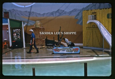 1970 Slide San Diego CA Sea World Sea Lion Sagebrush Chapel Sign Show ...