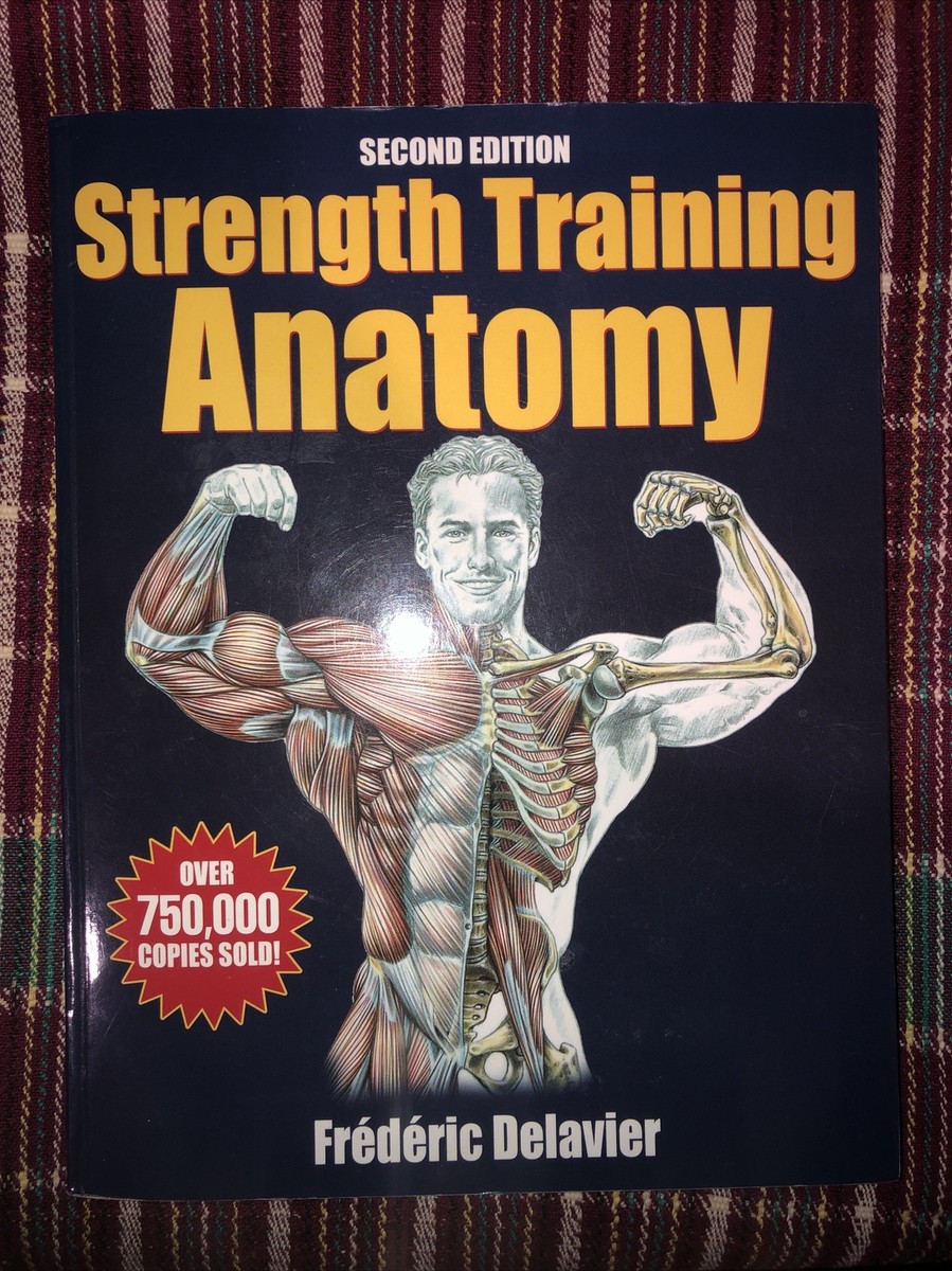 Strength Training Anatomy Poster Human Kinetics New From Human