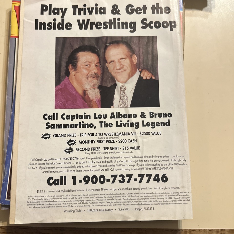 Wrestling 91 Magazine Winter 1991 Lex Luger Sting Road Warriors WWF PWI ...