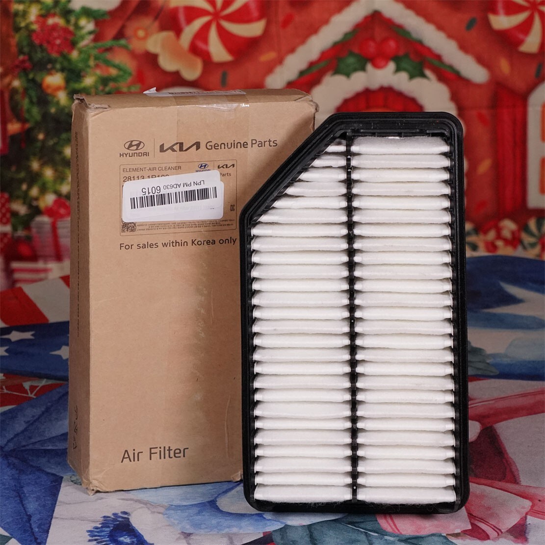 HYUNDAI 281131R100 - Air filter cross reference