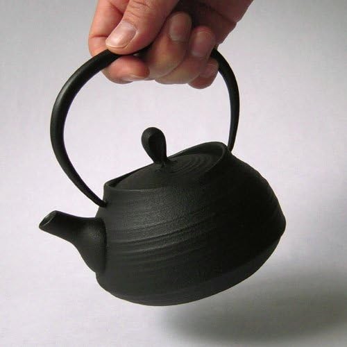 Nambu Tekki Teapot : Ichido Teapot Hakeme 0.4L Black W14xD12xH16(cm) | eBay
