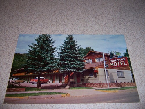 1950s SILVER SPRUCE MOTEL DURANGO COLORADO VTG POSTCARD | eBay