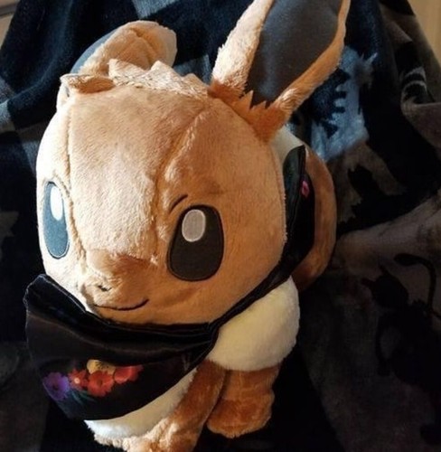 Pokemon EIEVUI & FLOWERS Eevee Sitting Plush JP | eBay