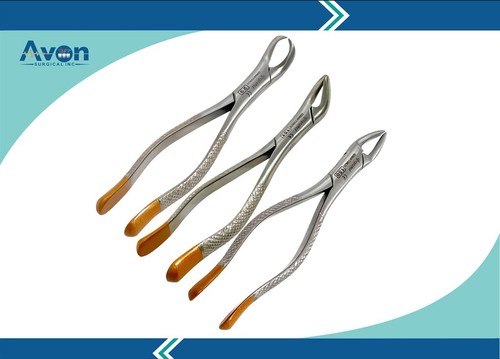 3 Pack Cow Horn Lower & Universal Tooth Extraction Forceps #23 + #150 ...