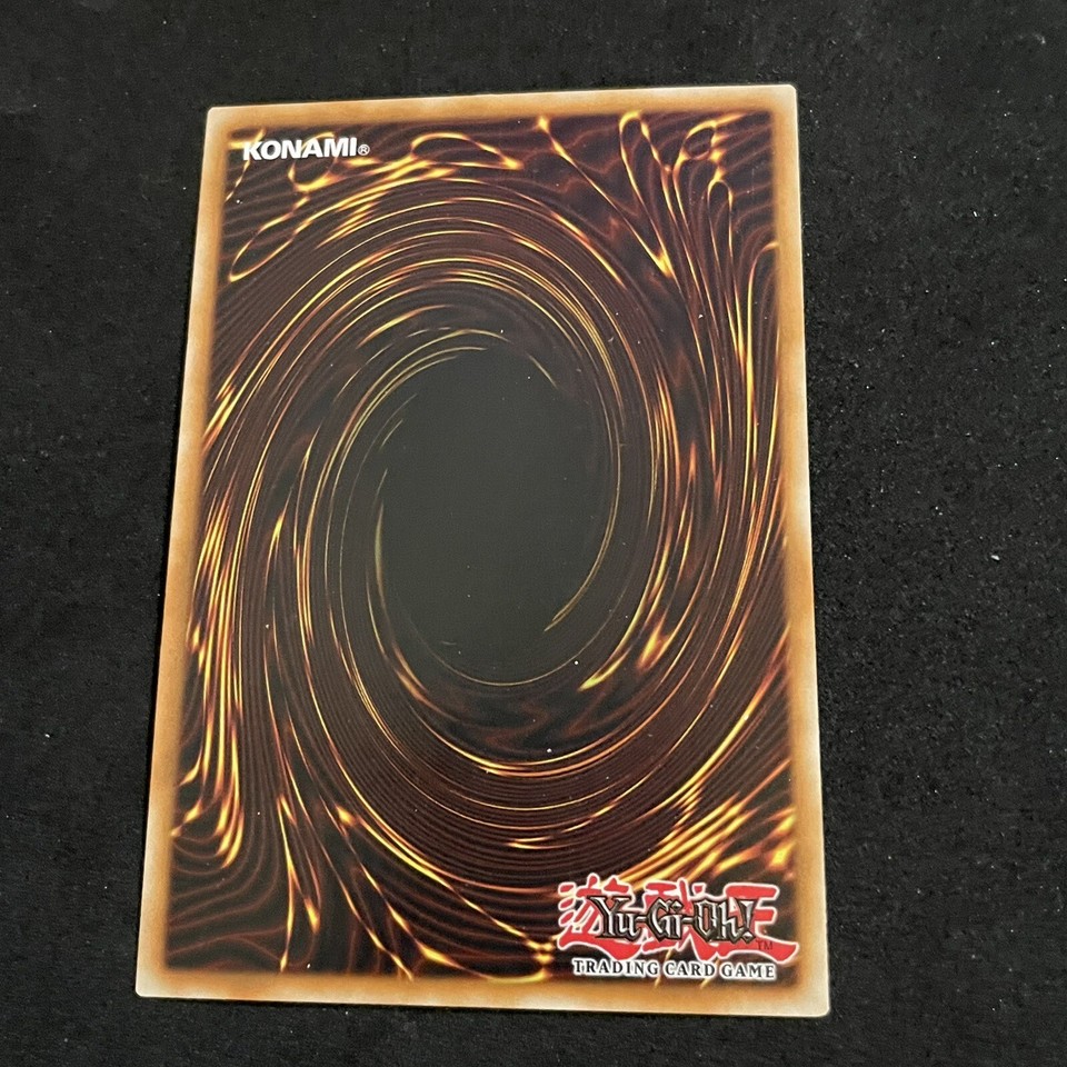 Graydle Alligator DOCS-EN033 Yu-Gi-Oh! Card Light Play Unlimited | eBay