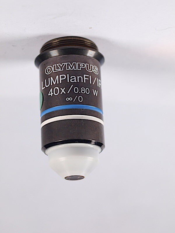 Olympus LUMPlanFL / IR 40x W Water Immersion M20 Infinity Microscope ...
