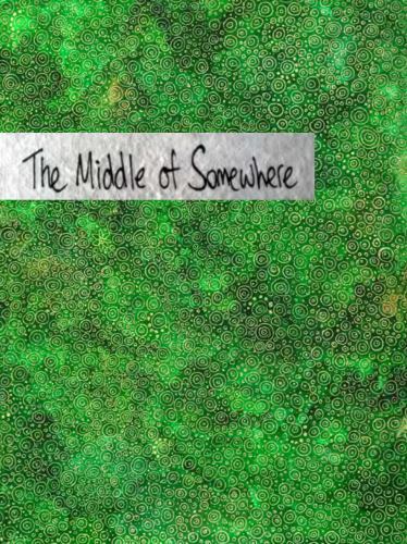 The Middle of Somewhere by Sam Harris (2015, Picture Book) for sale ...