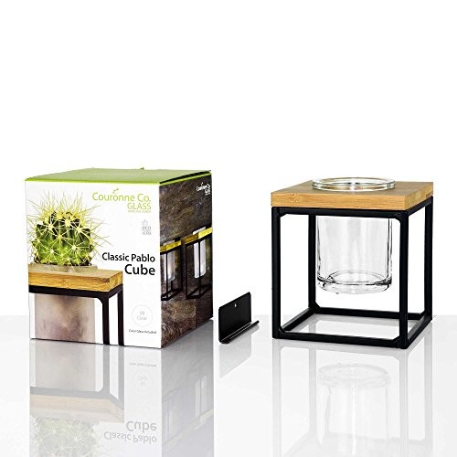 Couronne - Classic Pablo Cube - Aqua | eBay