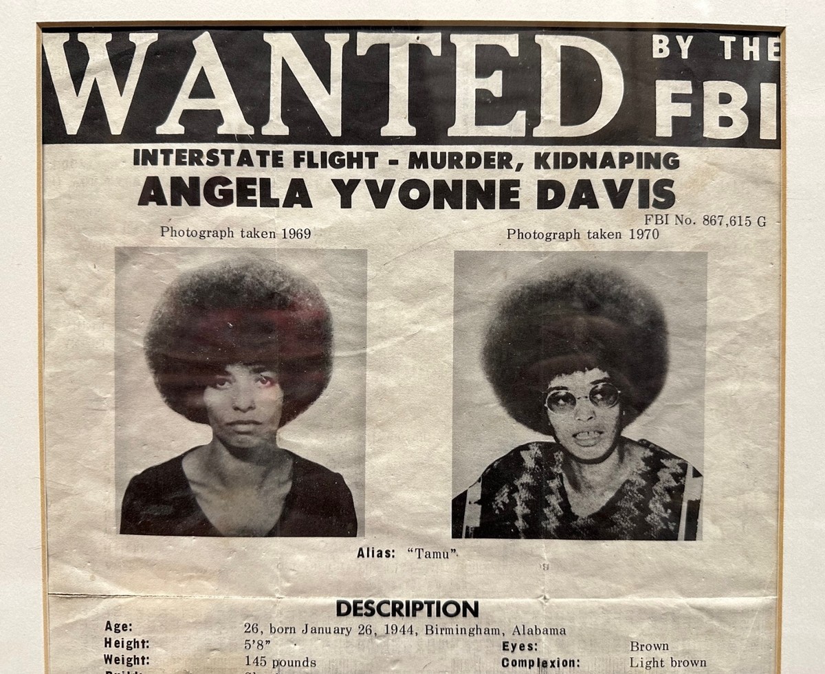 Angela Davis Meme Angela Davis Black Panther Hi Res Stock Photography