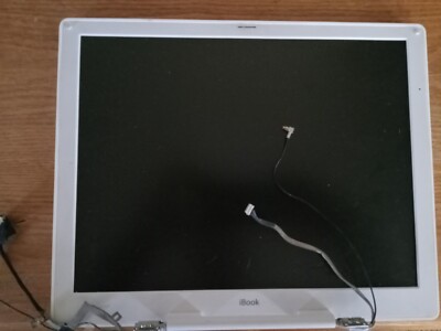 Vintage Apple 14" iBook Complete LCD Screen | eBay