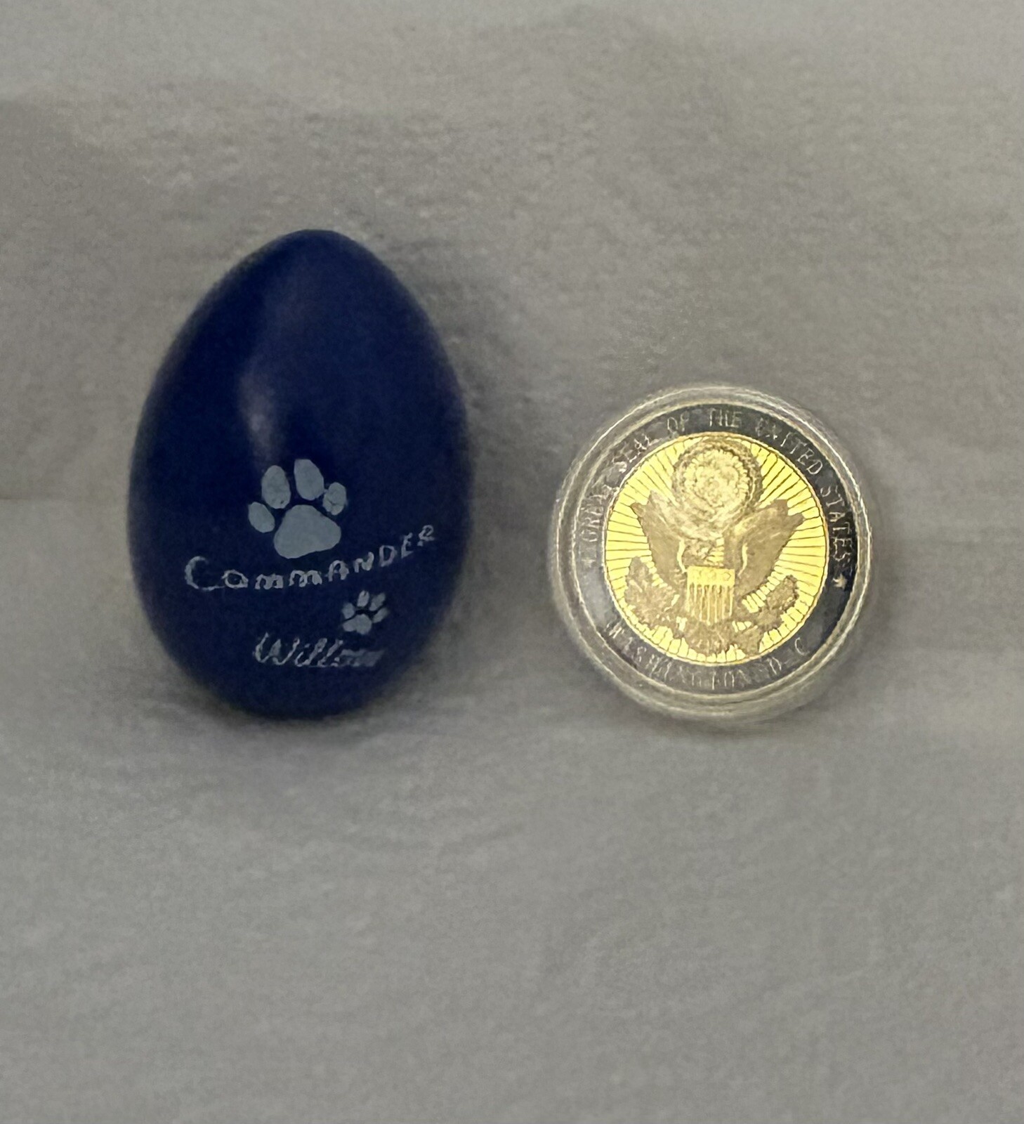BIDEN WHITE HOUSE 2023 EASTER BLUE EGG DOG + CHALLENGE COIN PRESIDENT ...