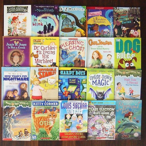 Lot 20 AR 3RD GRADE Level 3 Chapter Books CLASSROOM | eBay