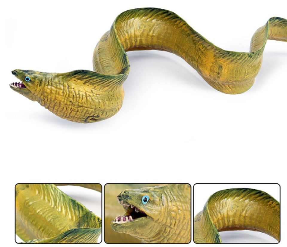 22cm Big Moray Eel Fish PVC Toy Ocean Sea Animal Figure Kids Gift | eBay