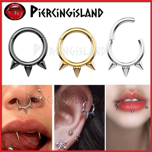 16g Punk Sexy Spike Nose Lip Ear Septum Seamless Clicker Segment Body ...