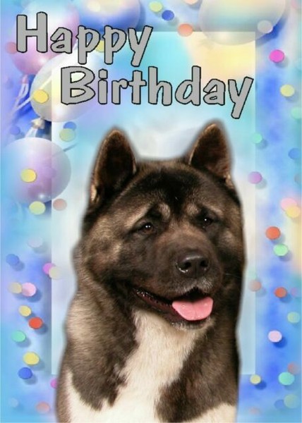 Akita Dog Design A6 Textured Birthday Card Bdakita-2 by Paws2print for ...