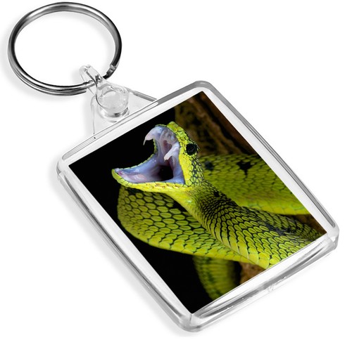 Green Tropical Snake Keyring Viper Jungle Reptile Fangs Cool Keyring ...