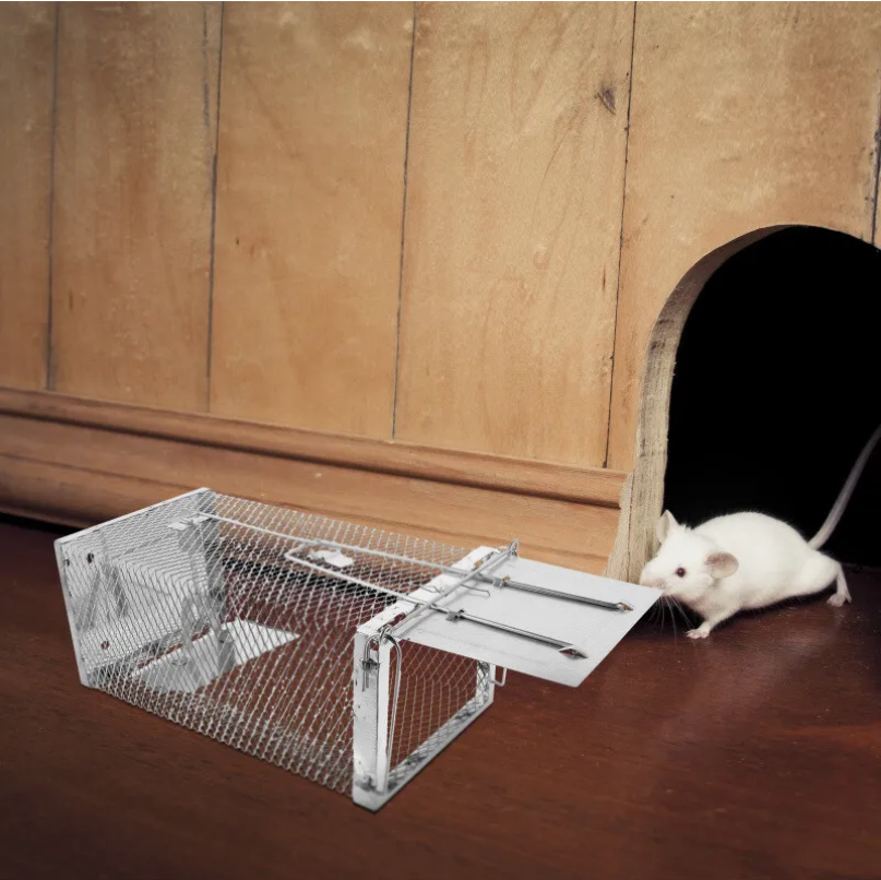 USA Mouse Trap Rat Trap Rodent Trap Live Catch Cage, Easy to Set Up and ...